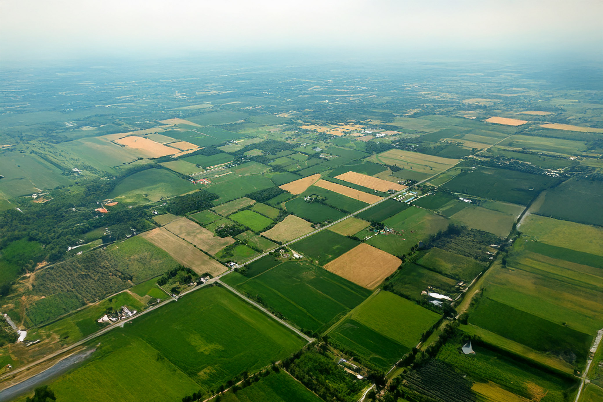 Northern Harvest Farms - Local Farm Directory